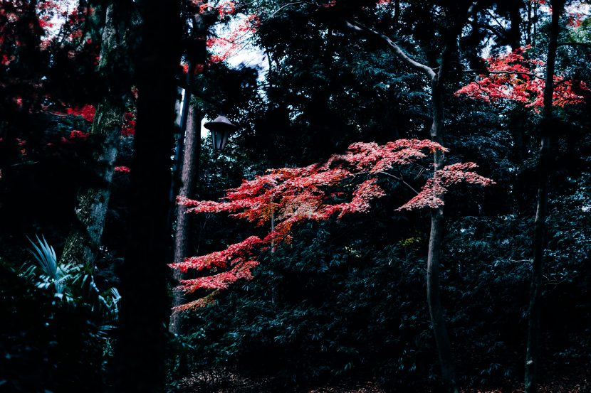 VISUAL – classic-inc